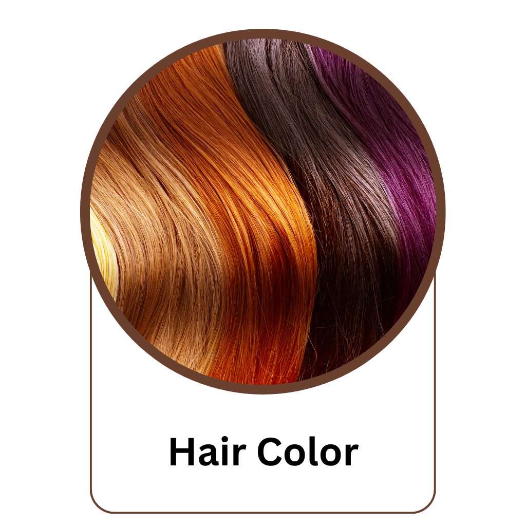 Hair Color – Z BEAUTY ZONE